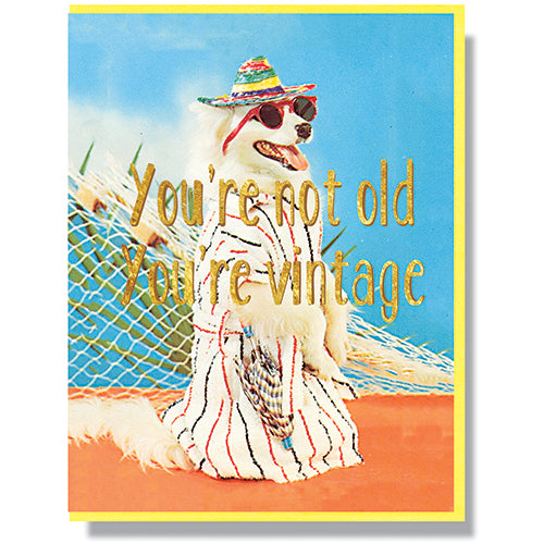 You're Not Old, You're Vintage Birthday Card – Scout